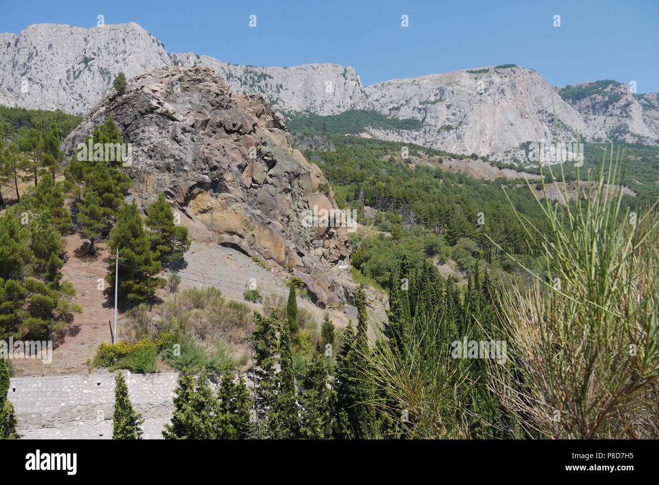 steep tall cliffs on the background of a blue sky surrounded by dense ...