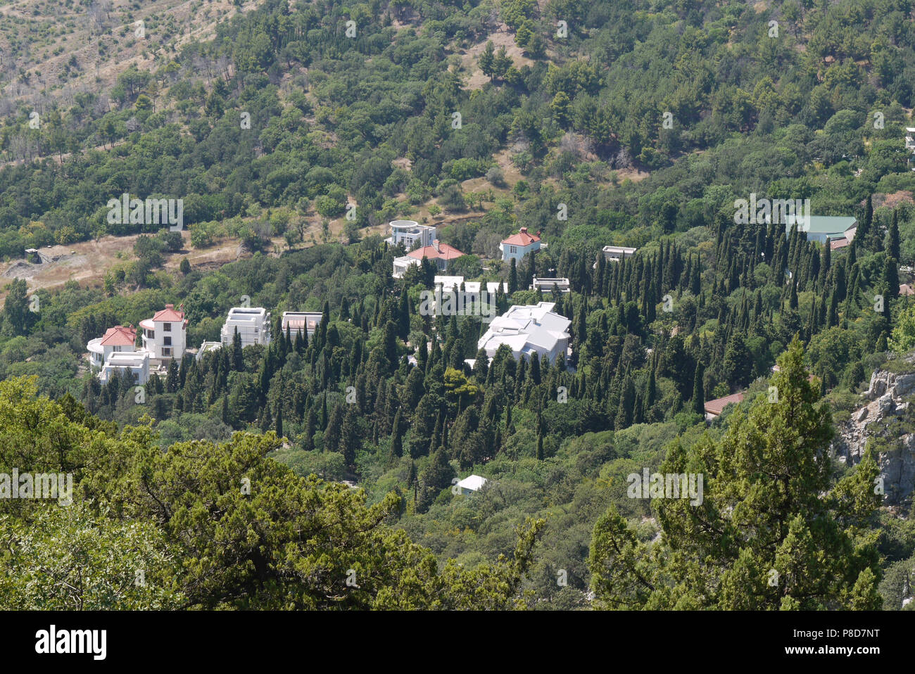 beautiful houses surrounded by dense high trees . For your design Stock ...