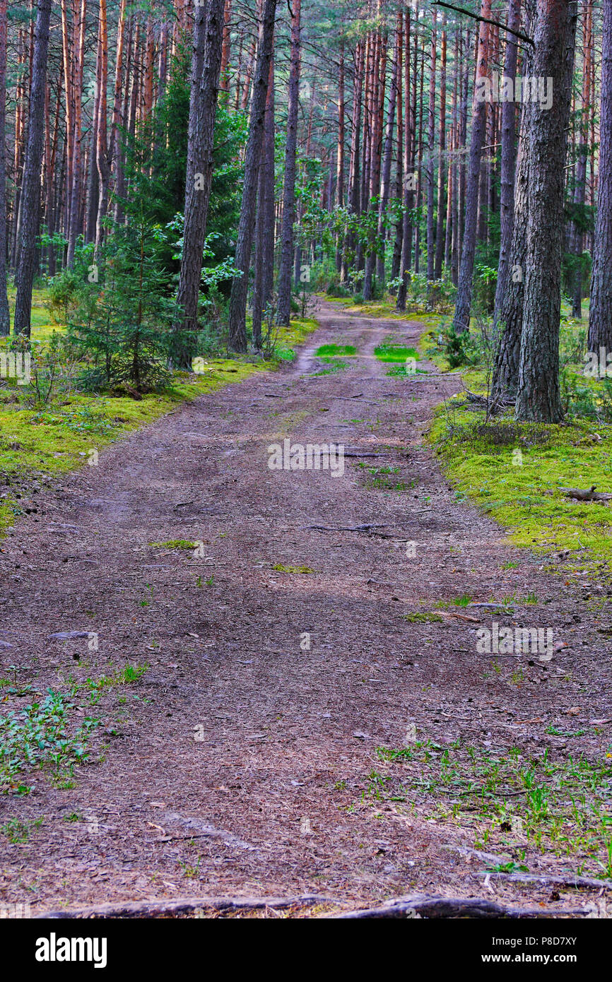 Tall and beautiful hi-res stock photography and images - Alamy