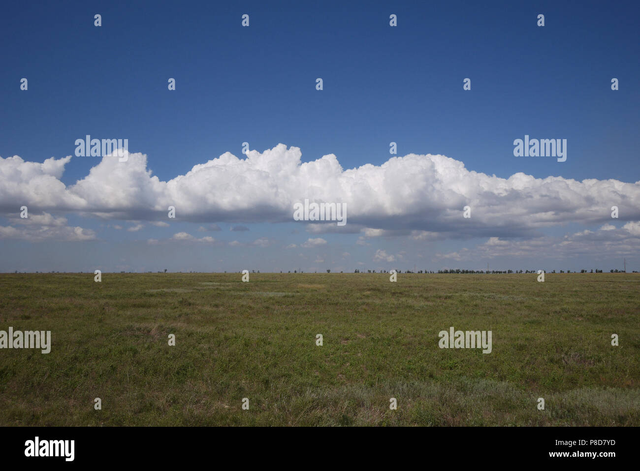 broad endless field under the cloudy blue sky . For your design Stock ...