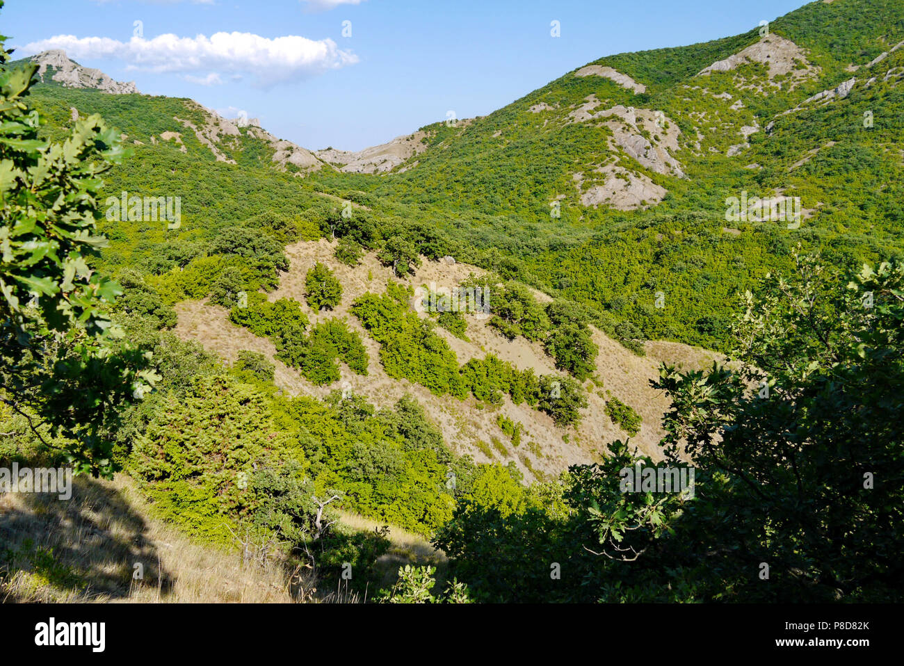 high slopes covered with grass on the blue sky background . For your ...