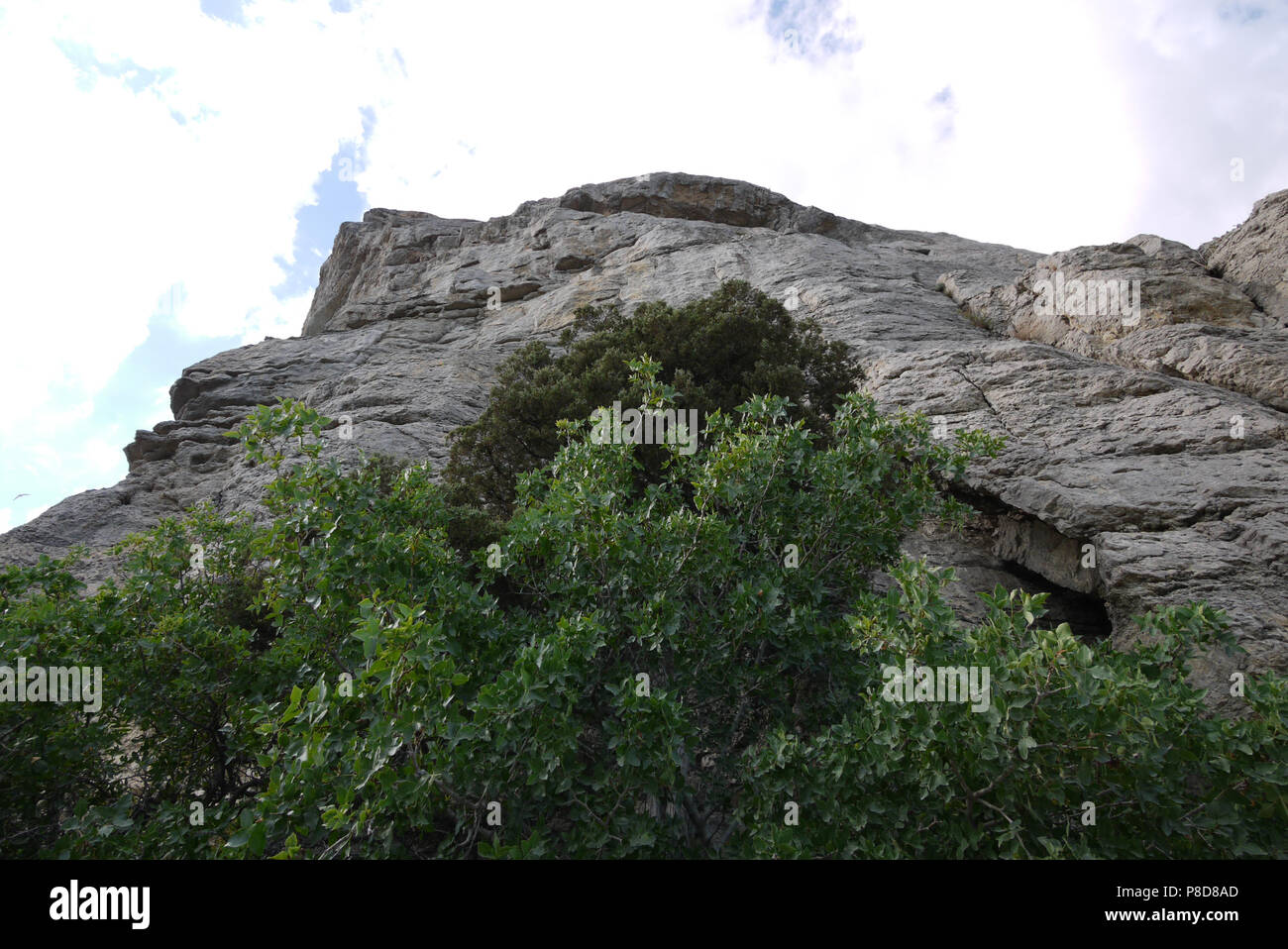 Tall cliffs hi-res stock photography and images - Alamy