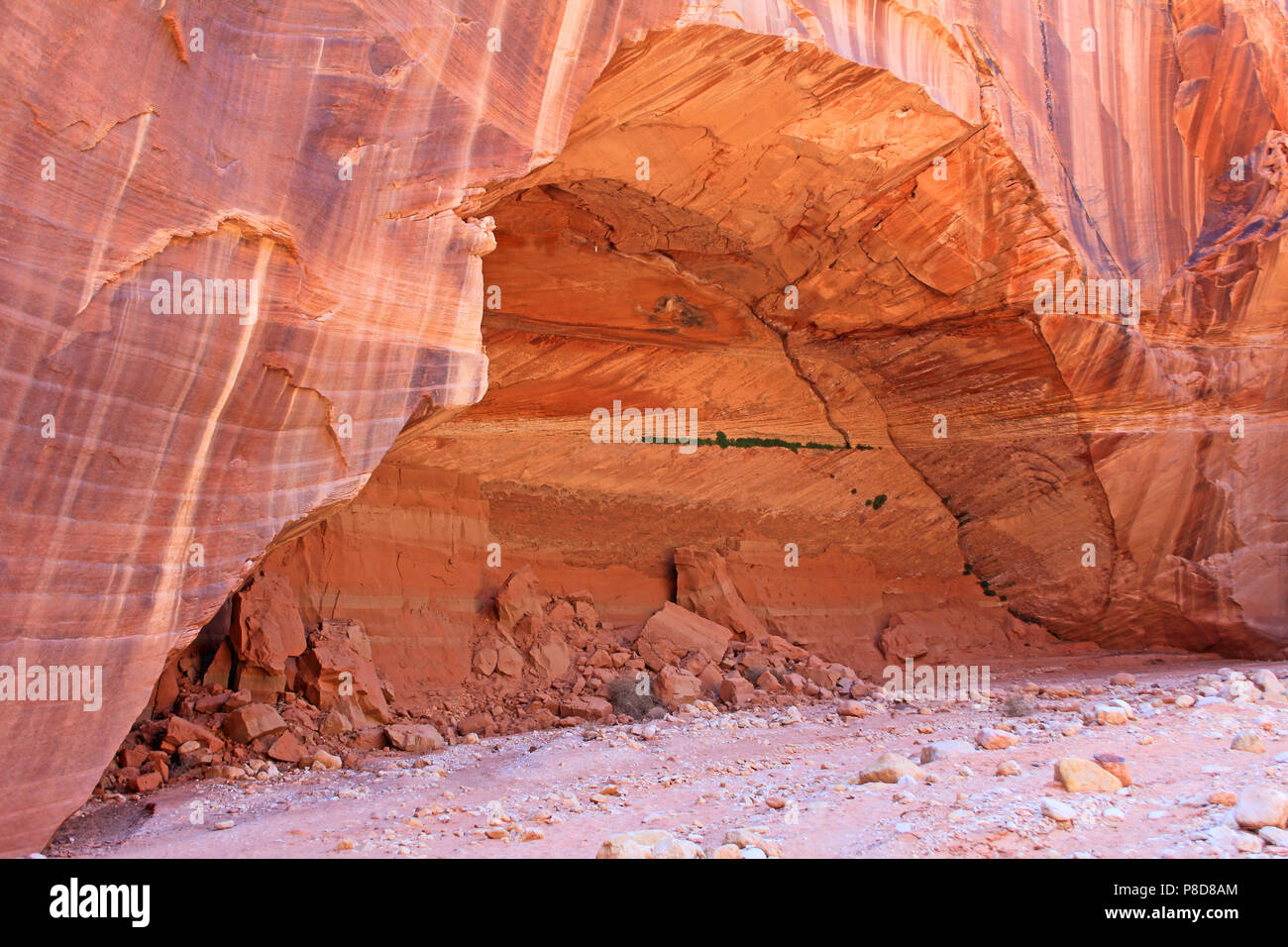 The Alcove, Utah Stock Photo - Alamy
