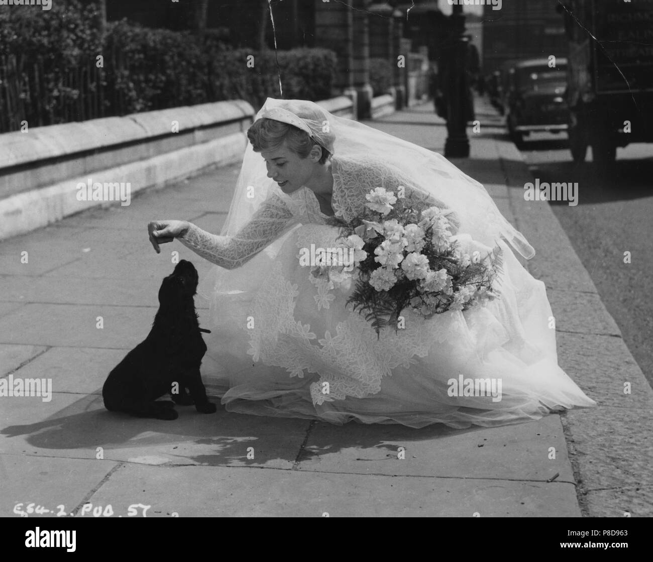 For Better For Worse (1955) Susan Stephen, Date: 1955 Stock Photo - Alamy