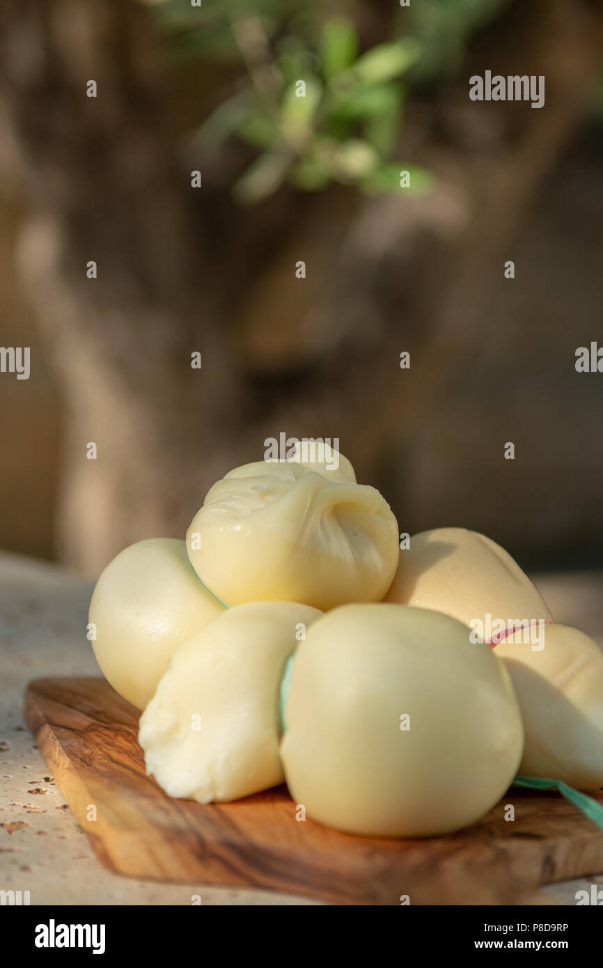 Fresh South Italian traditional cow or cow and sheep semi-soft cheese ...