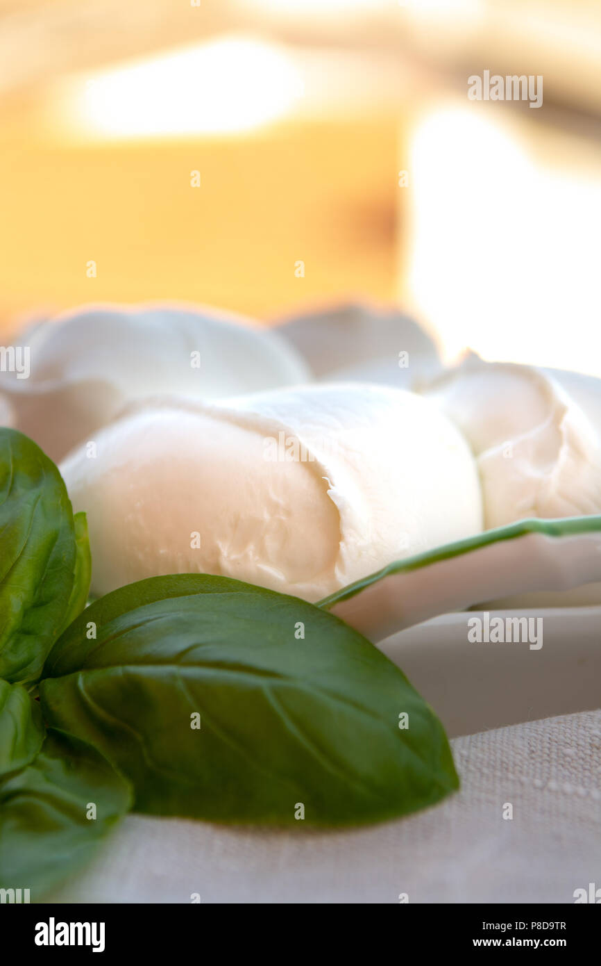 Fresh soft Italian white cheese mozzarella buffalo, original from ...