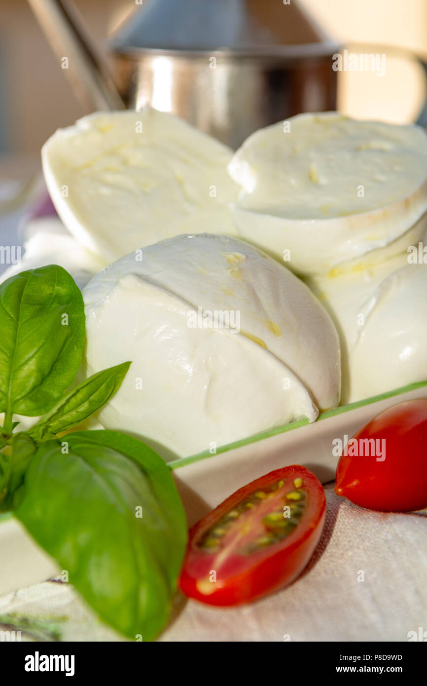 Fresh soft Italian white cheese mozzarella buffalo, original from ...