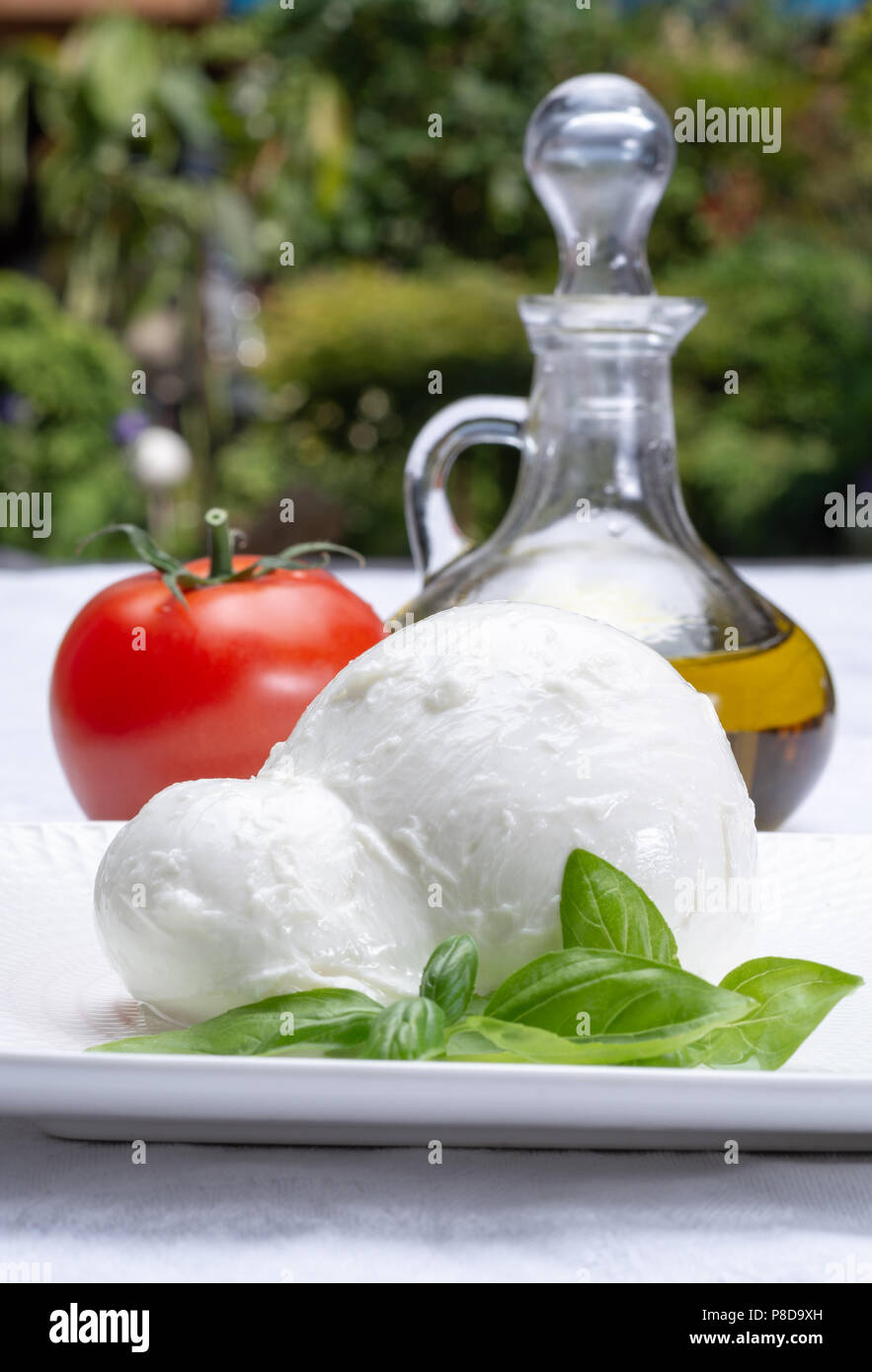 Fresh soft Italian white cheese mozzarella buffalo, original from ...