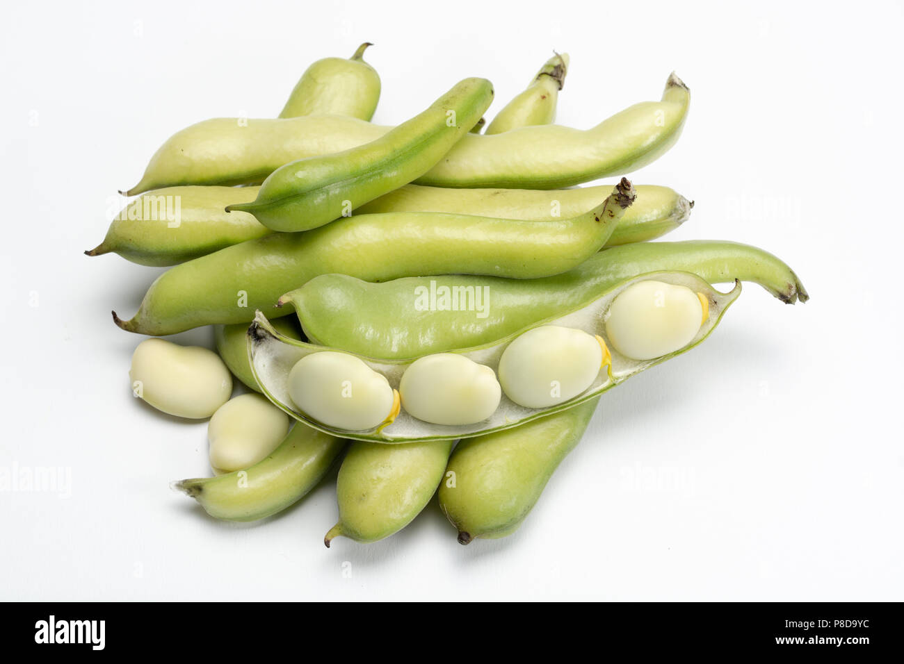 New harvest of healthy vegetables, green fresh raw big broad beans ...