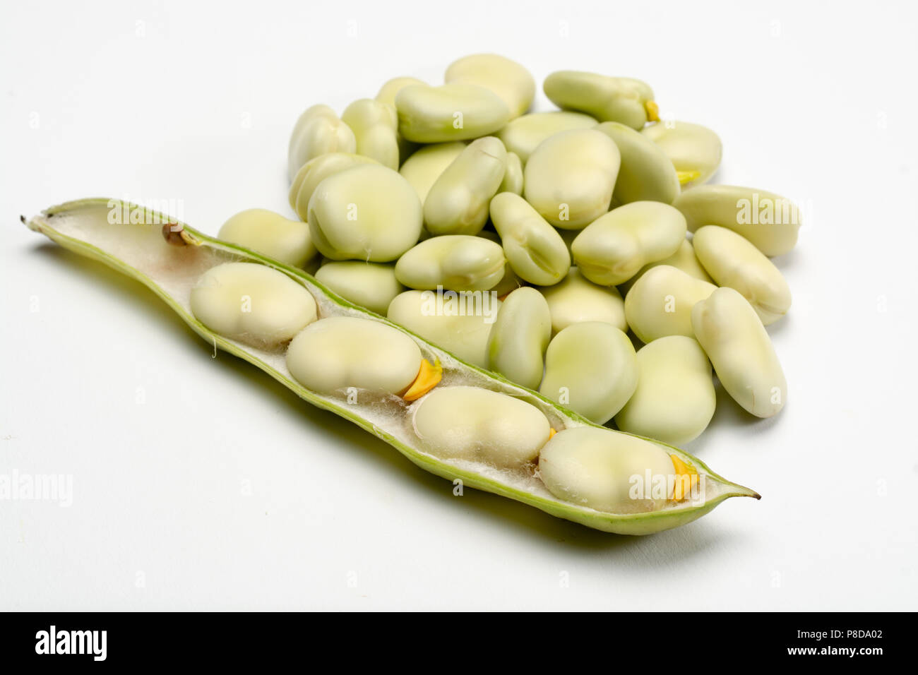 New harvest of healthy vegetables, green fresh raw big broad beans ...
