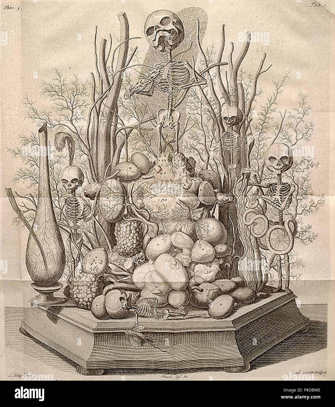 vintage etching illustration Stock Photo - Alamy