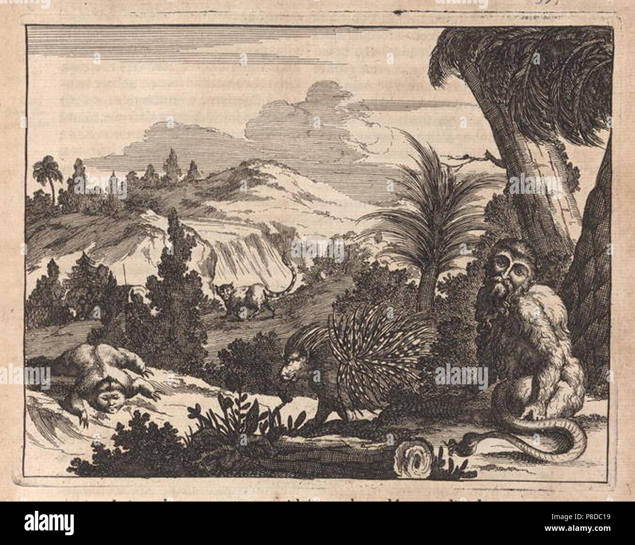 vintage etching illustration Stock Photo - Alamy