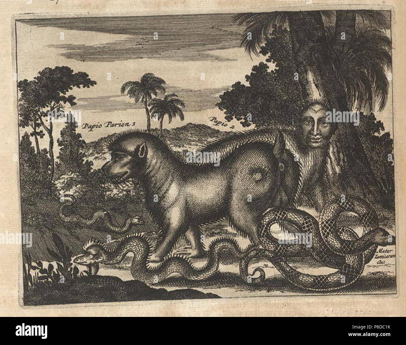 vintage etching illustration Stock Photo - Alamy