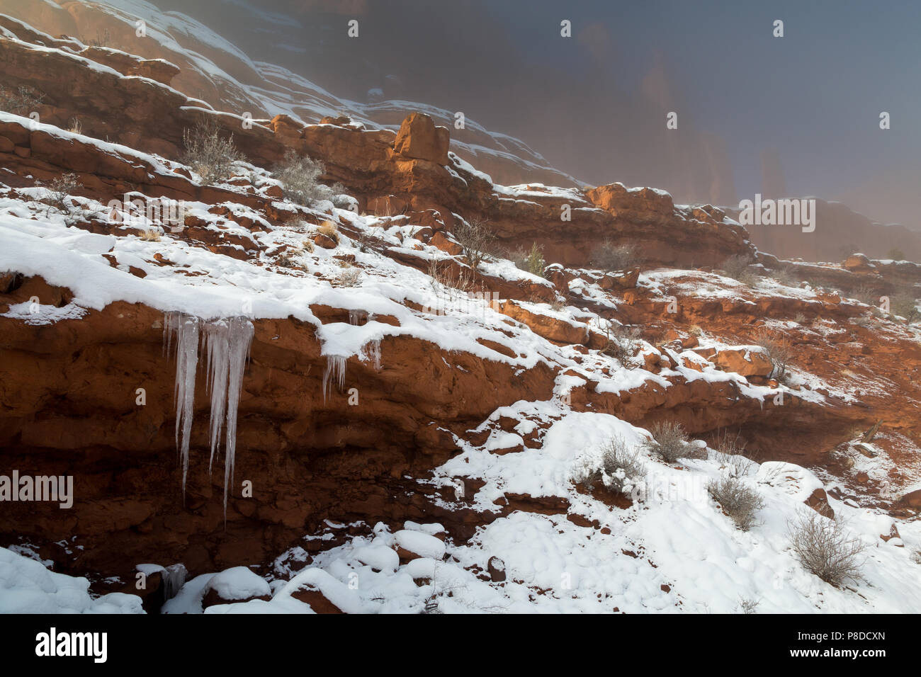 Winter weather clearing from the Park Avenue Trail, leaving behind snow ...