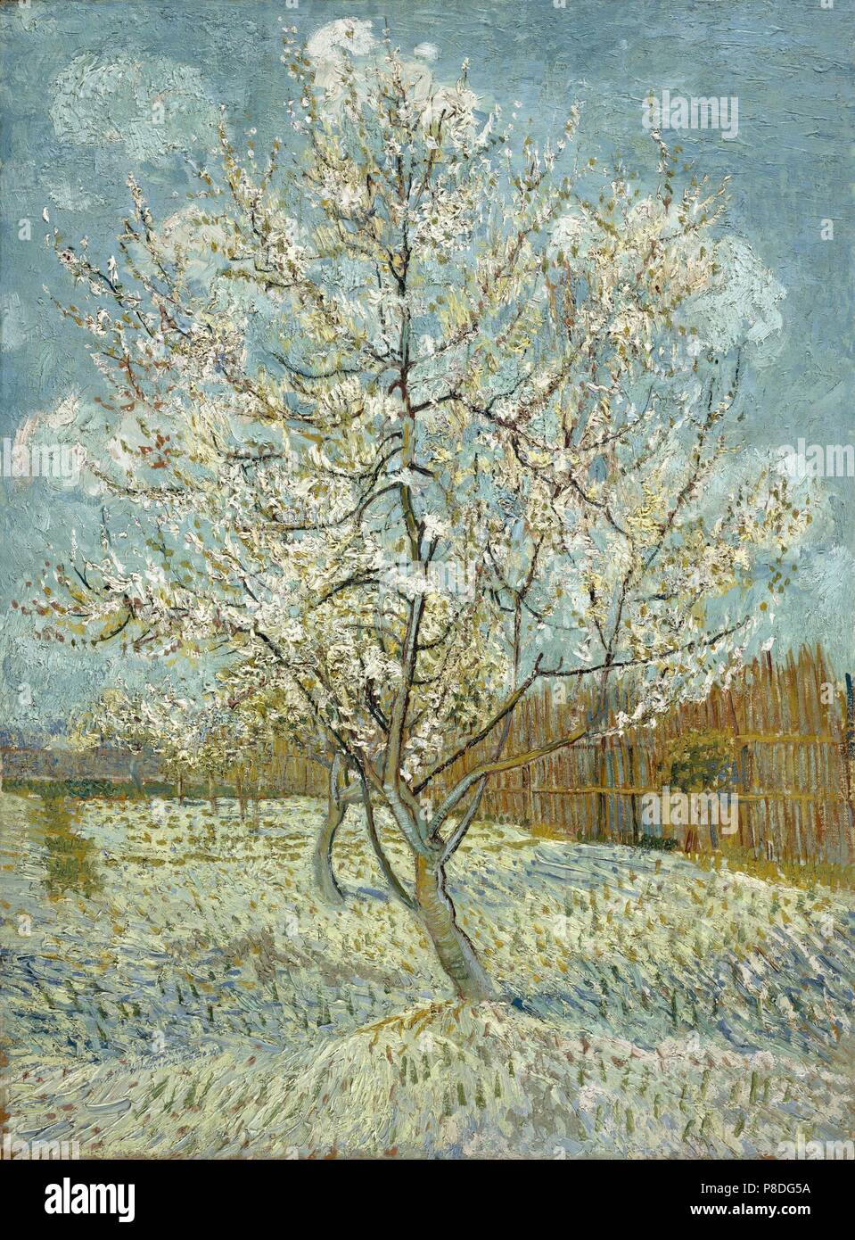 Peach pink trees vincent van gogh hi-res stock photography and images ...