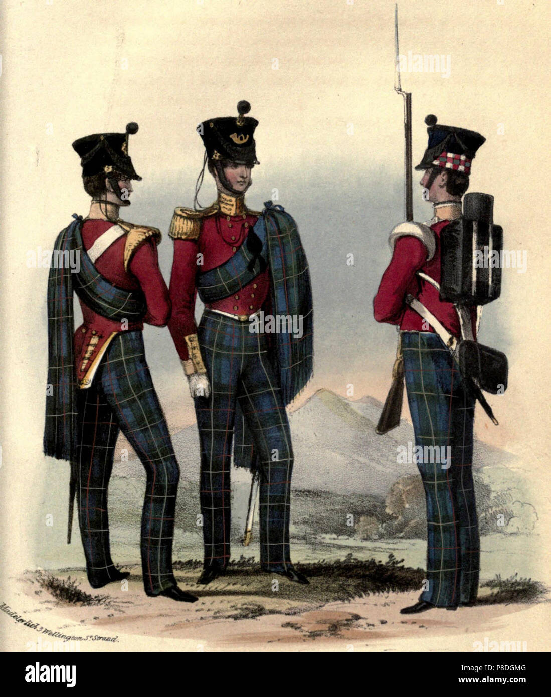 71st Foot uniform Stock Photo - Alamy