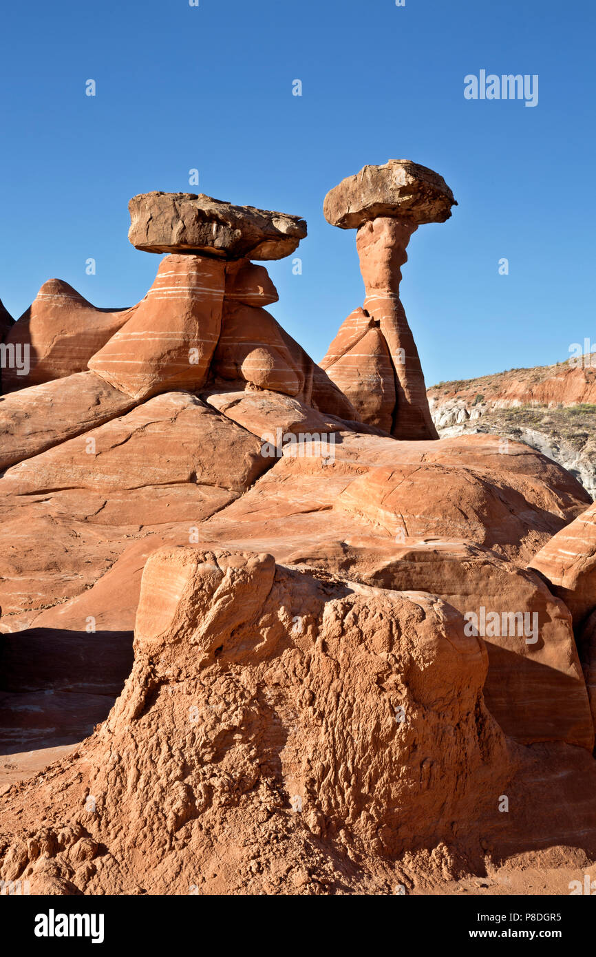 .UTAH - The Toadstools where where harden boulders roll down from the ...