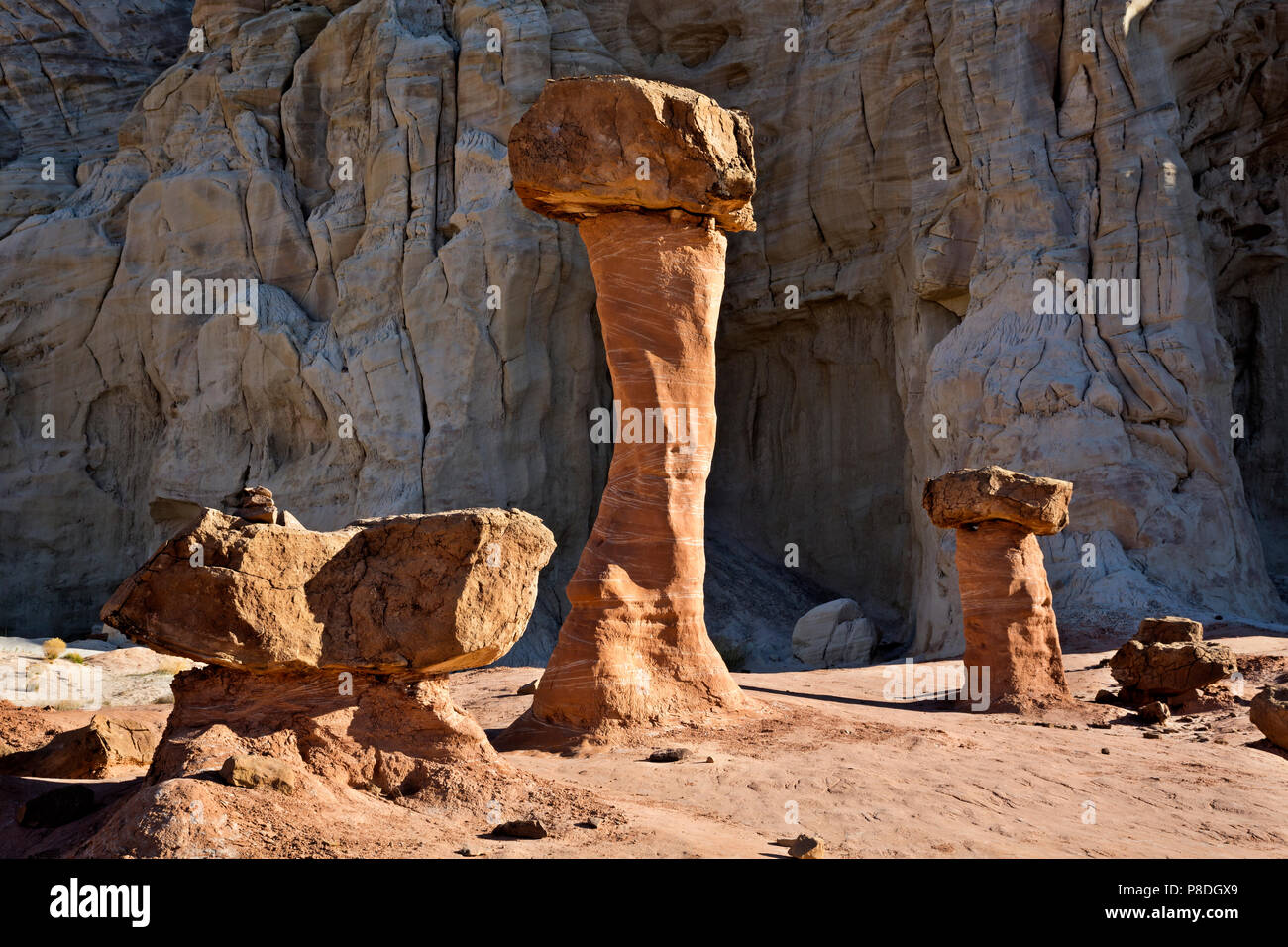 Tall toadstools hi-res stock photography and images - Alamy