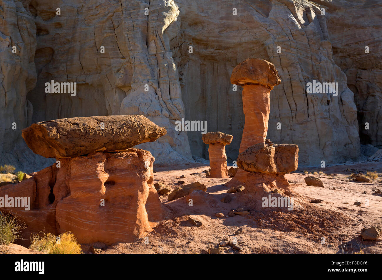 UTAH - These Toadstools where formed when harden boulders rolled down ...