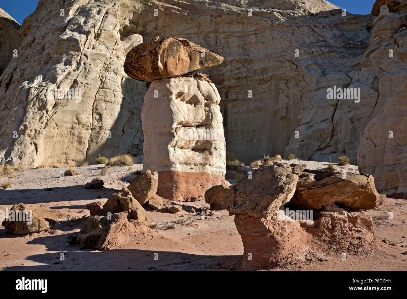 UTAH - These Toadstools where formed when harden boulders rolled down ...