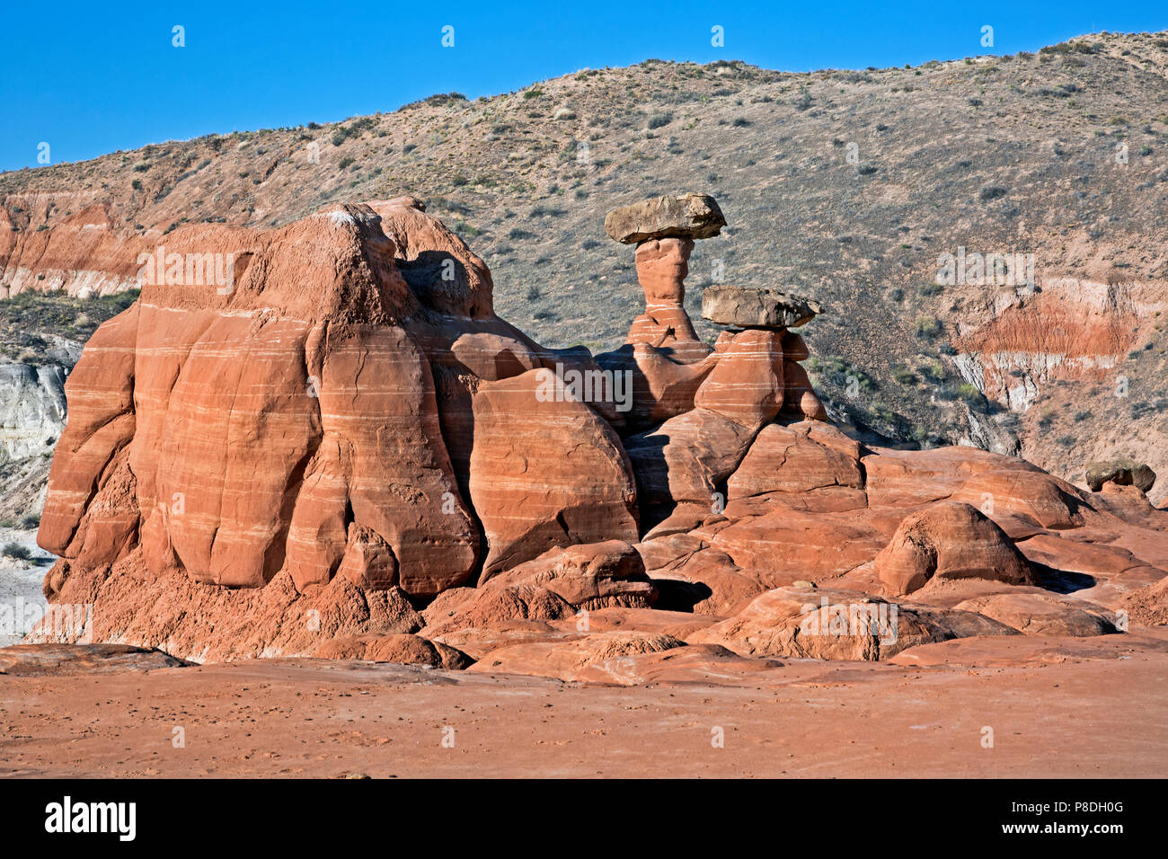Toadstools from above hi-res stock photography and images - Alamy