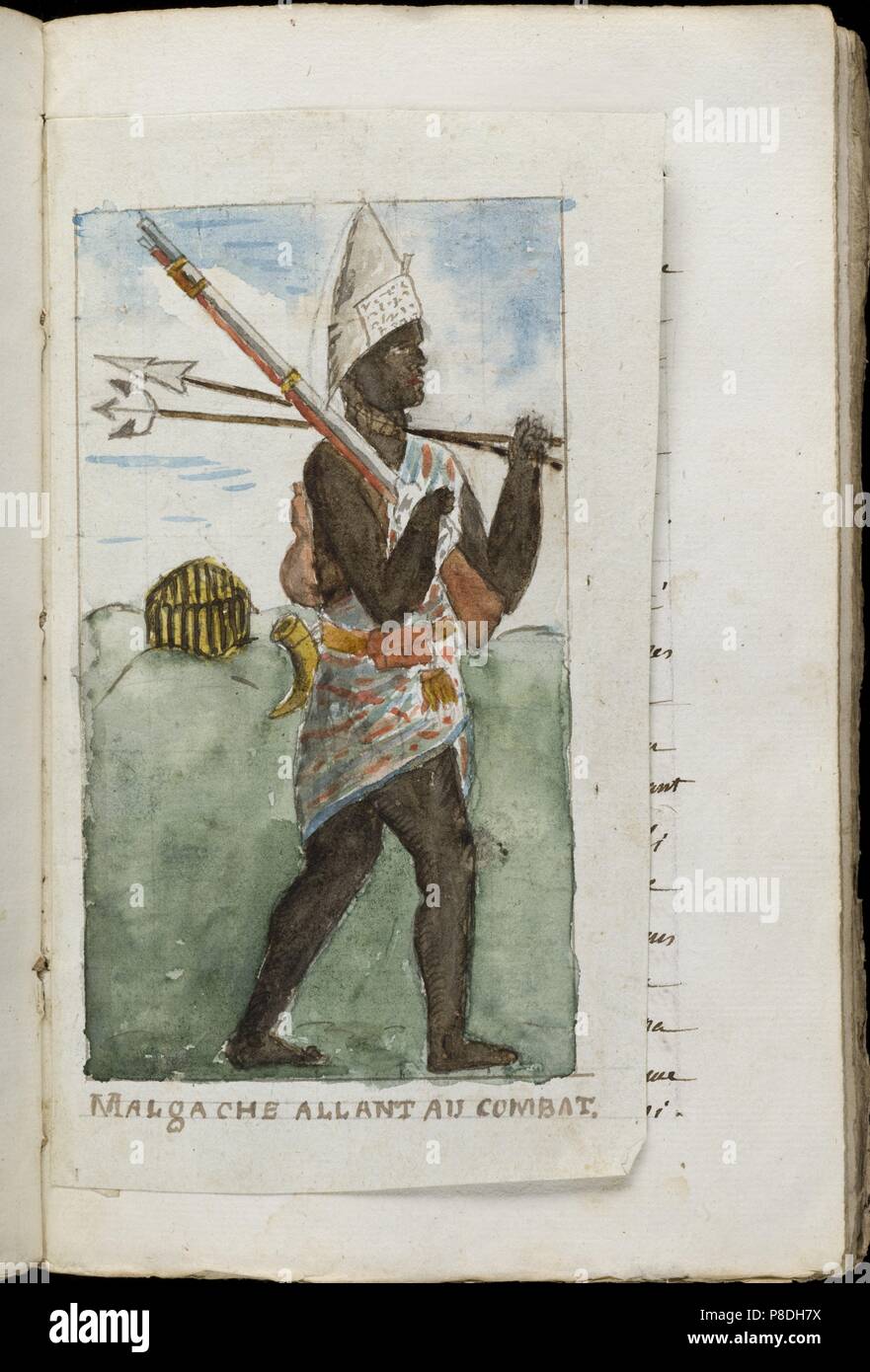 A native of Madagascar. Museum: PRIVATE COLLECTION Stock Photo - Alamy