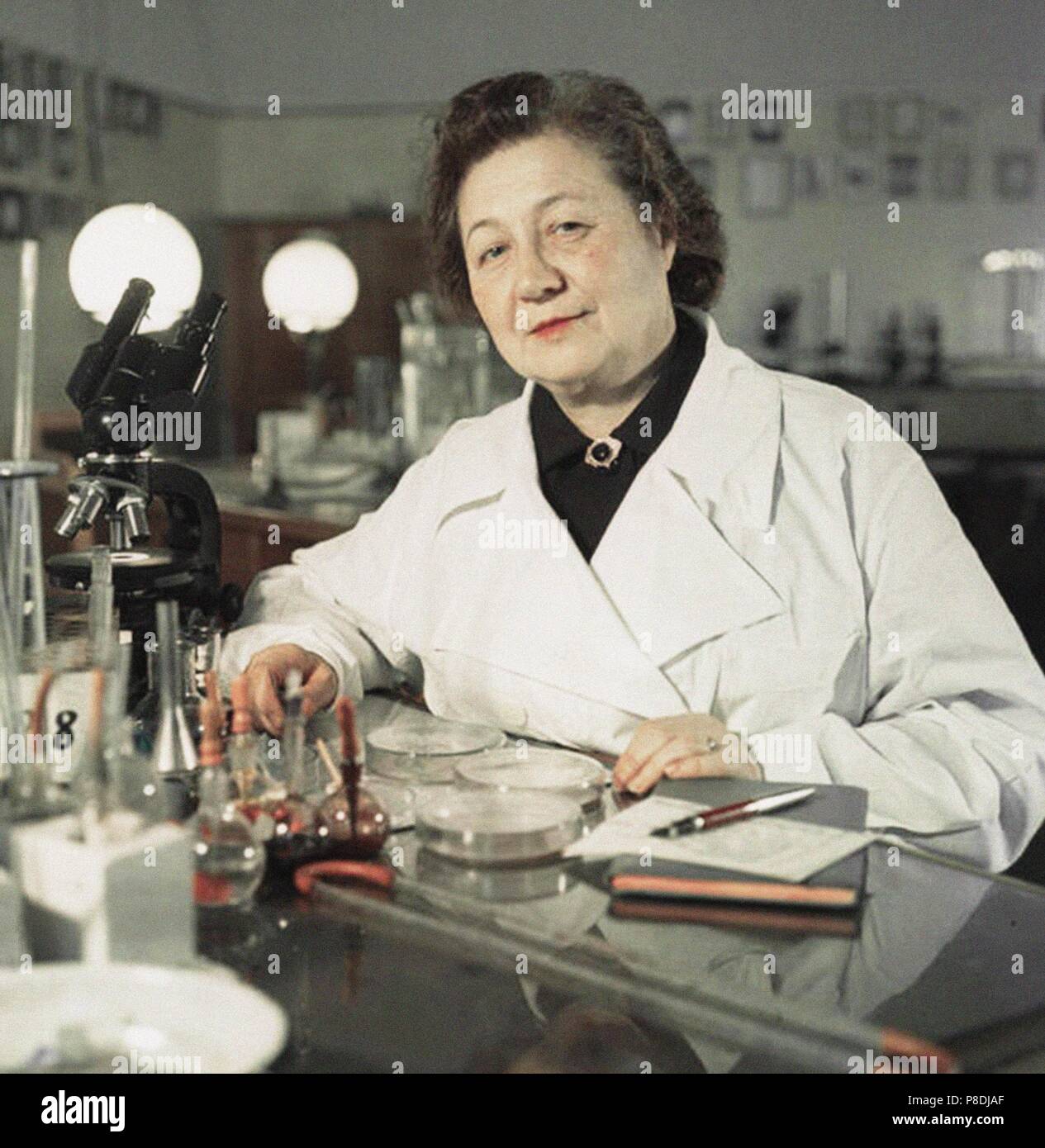 Zinaida Vissarionovna Ermolyeva (1898-1974). Museum: PRIVATE COLLECTION ...