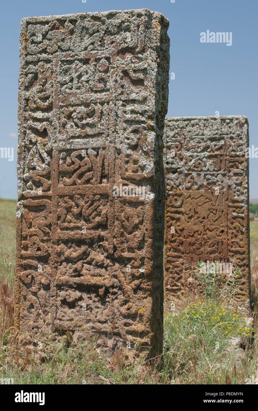 Ahlat tombstones hi-res stock photography and images - Alamy
