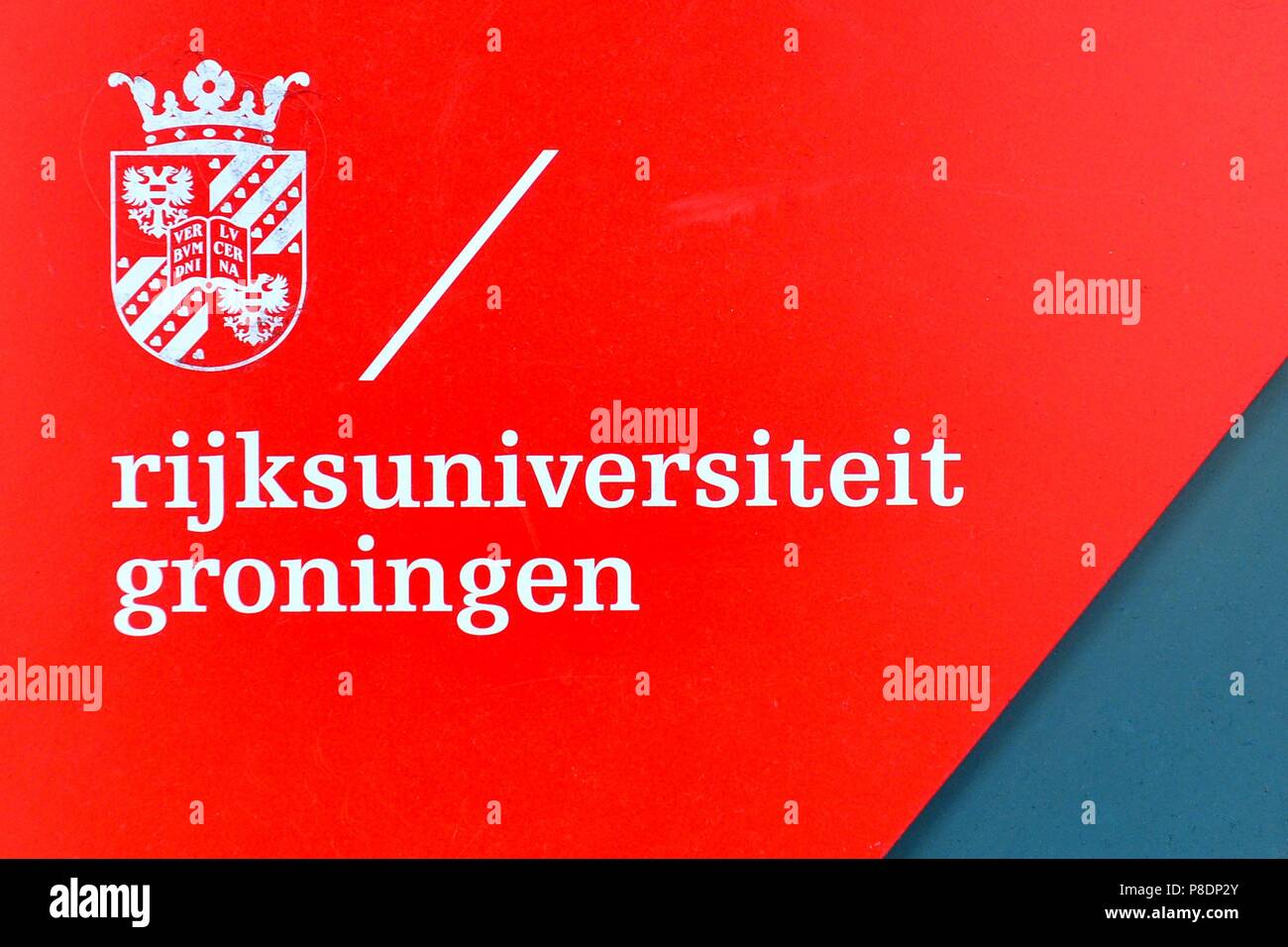 University Of Groningen Logo