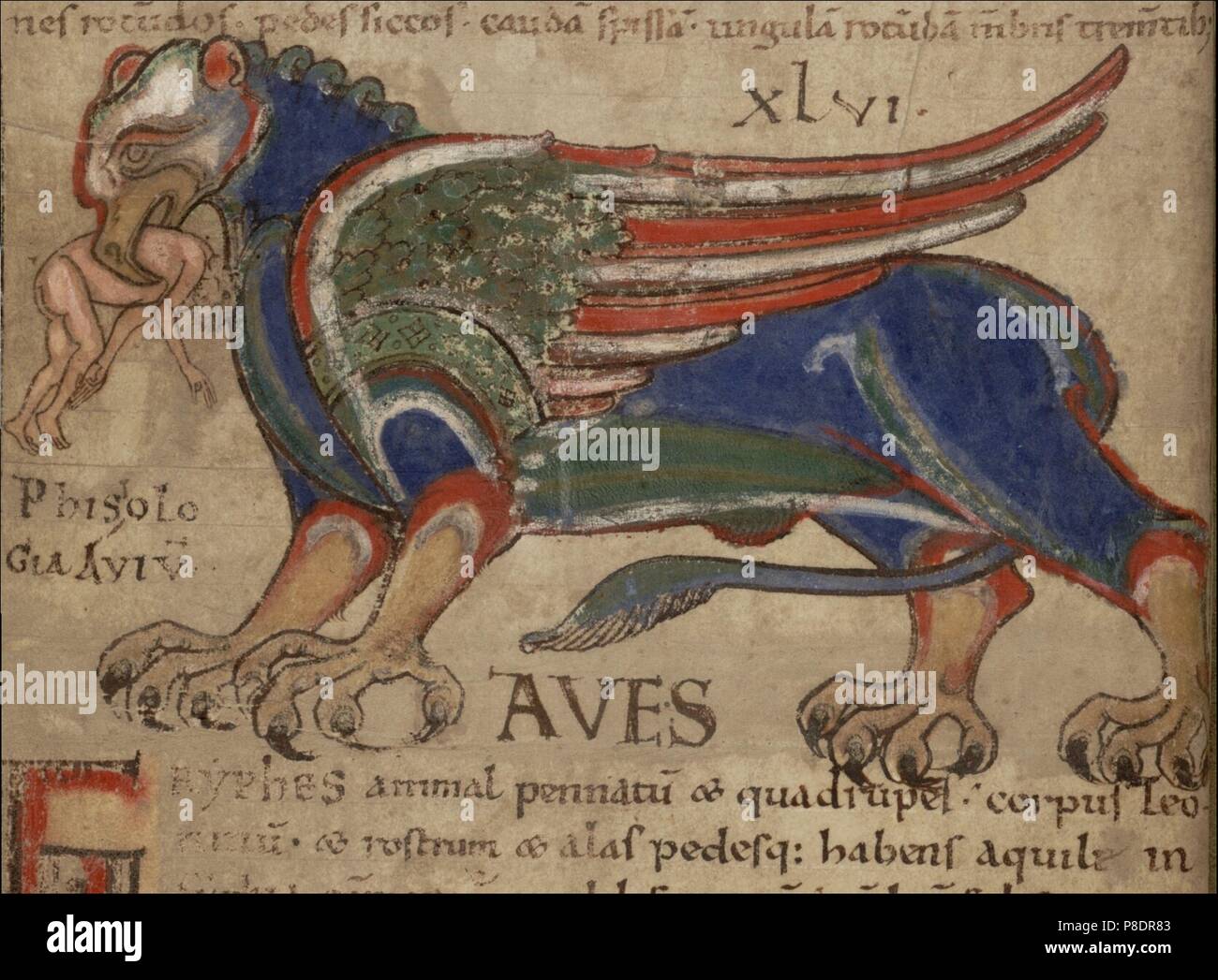 Lambert de saint omer hi-res stock photography and images - Alamy