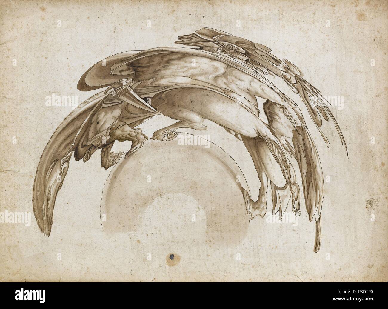 An anamorphosis with a man riding a fantastical creature. Museum ...