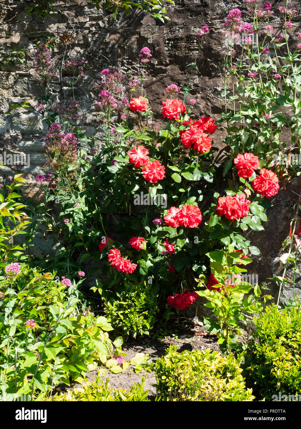 Coldstream, Scottish Border town - Henderson Park, a memorial garden ...