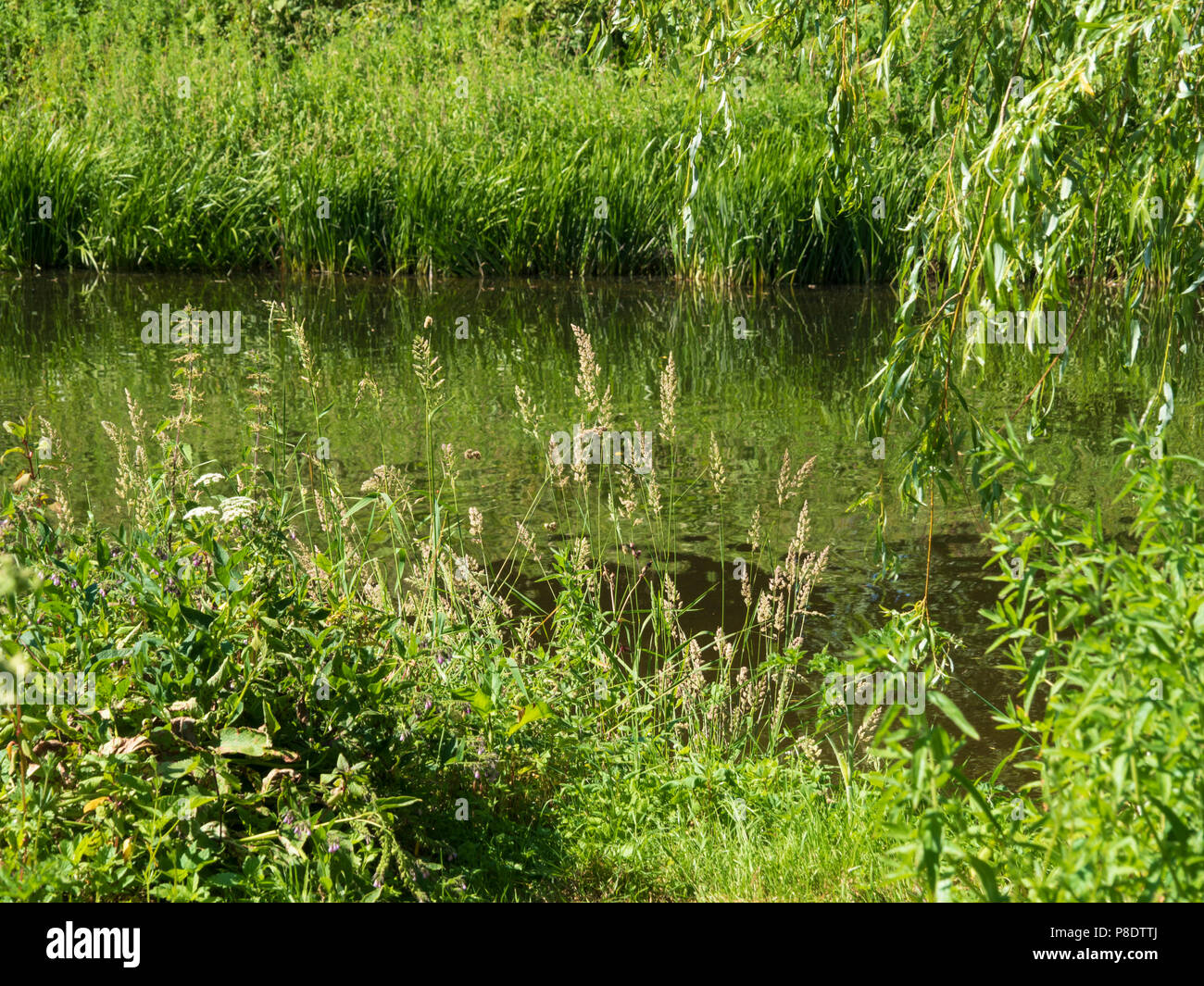 Teviot Smokery garden centre and water gardens, Kalemouth, near Kelso ...