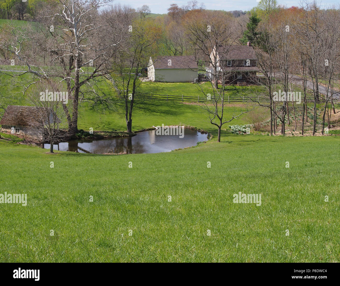 Farm yard pond hi-res stock photography and images - Alamy