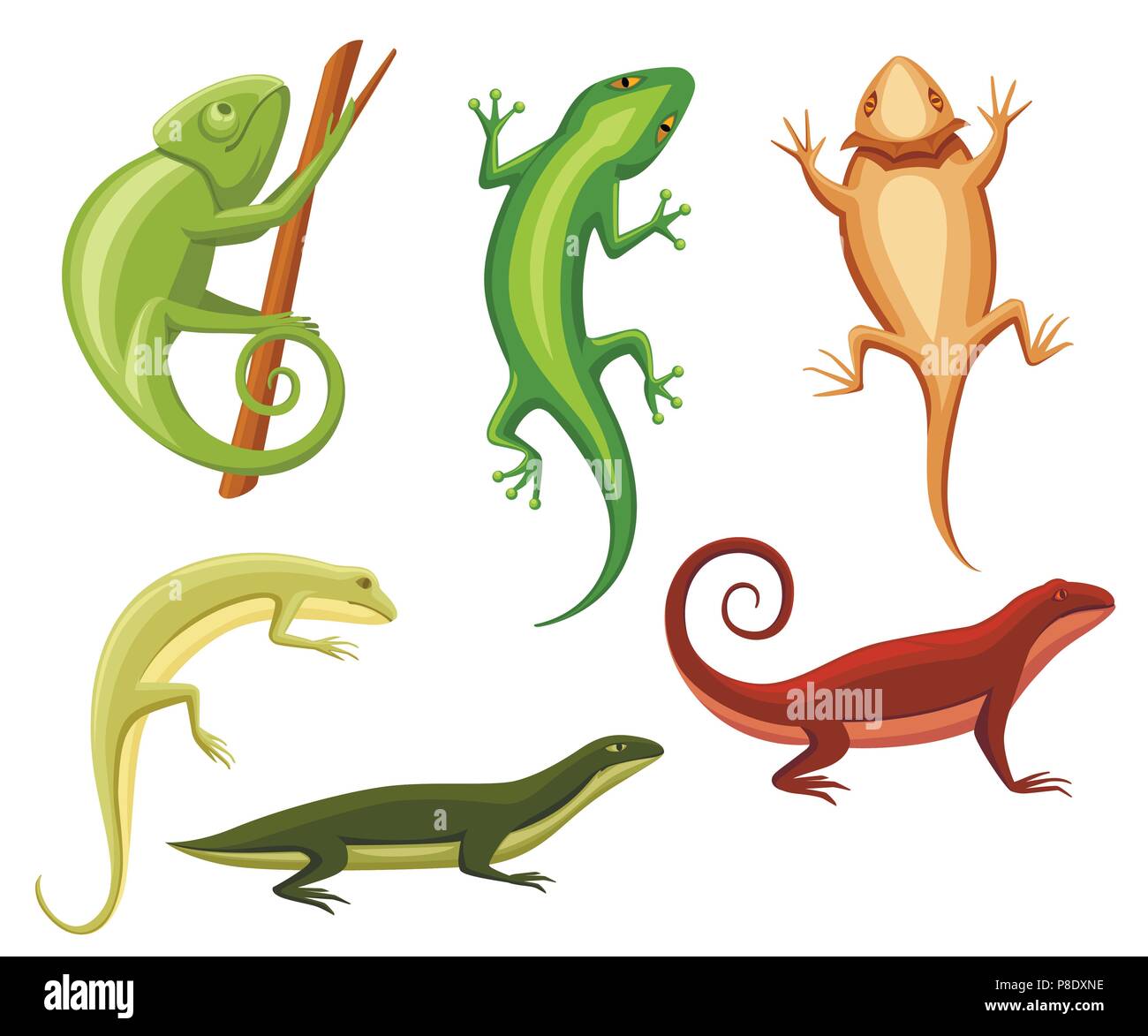 Flat lizards collection. Cartoon chameleon climb on branch. Small ...
