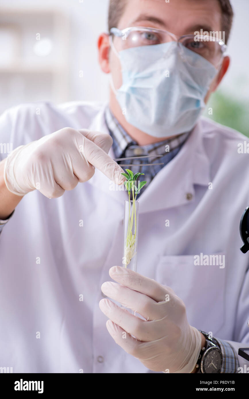 Male biochemist working in the lab on plants Stock Photo - Alamy