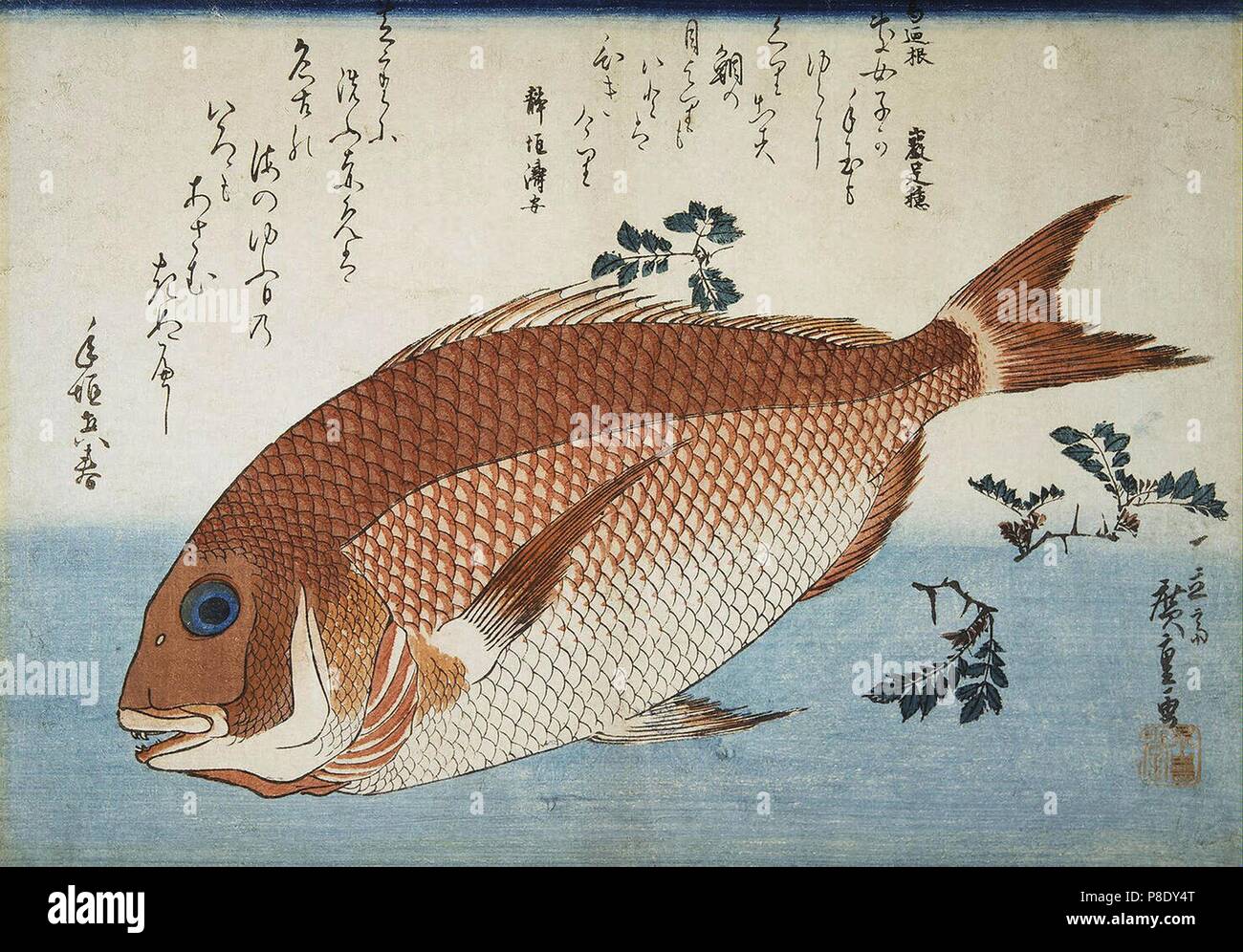 Red Sea Bream Japan High Resolution Stock Photography and Images - Alamy