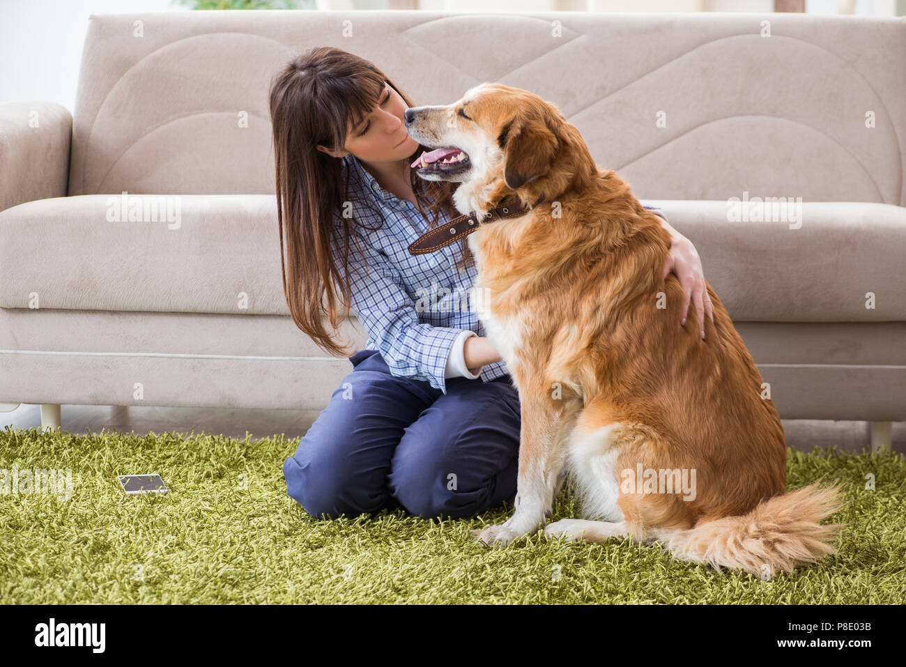 Happy woman dog owner at home with golden retriever Stock Photo - Alamy