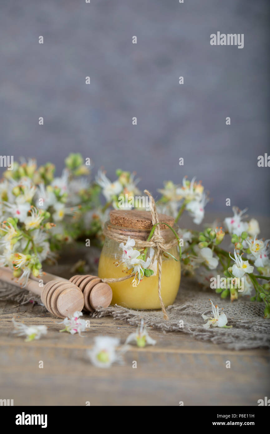 Bitter chestnut hi-res stock photography and images - Alamy