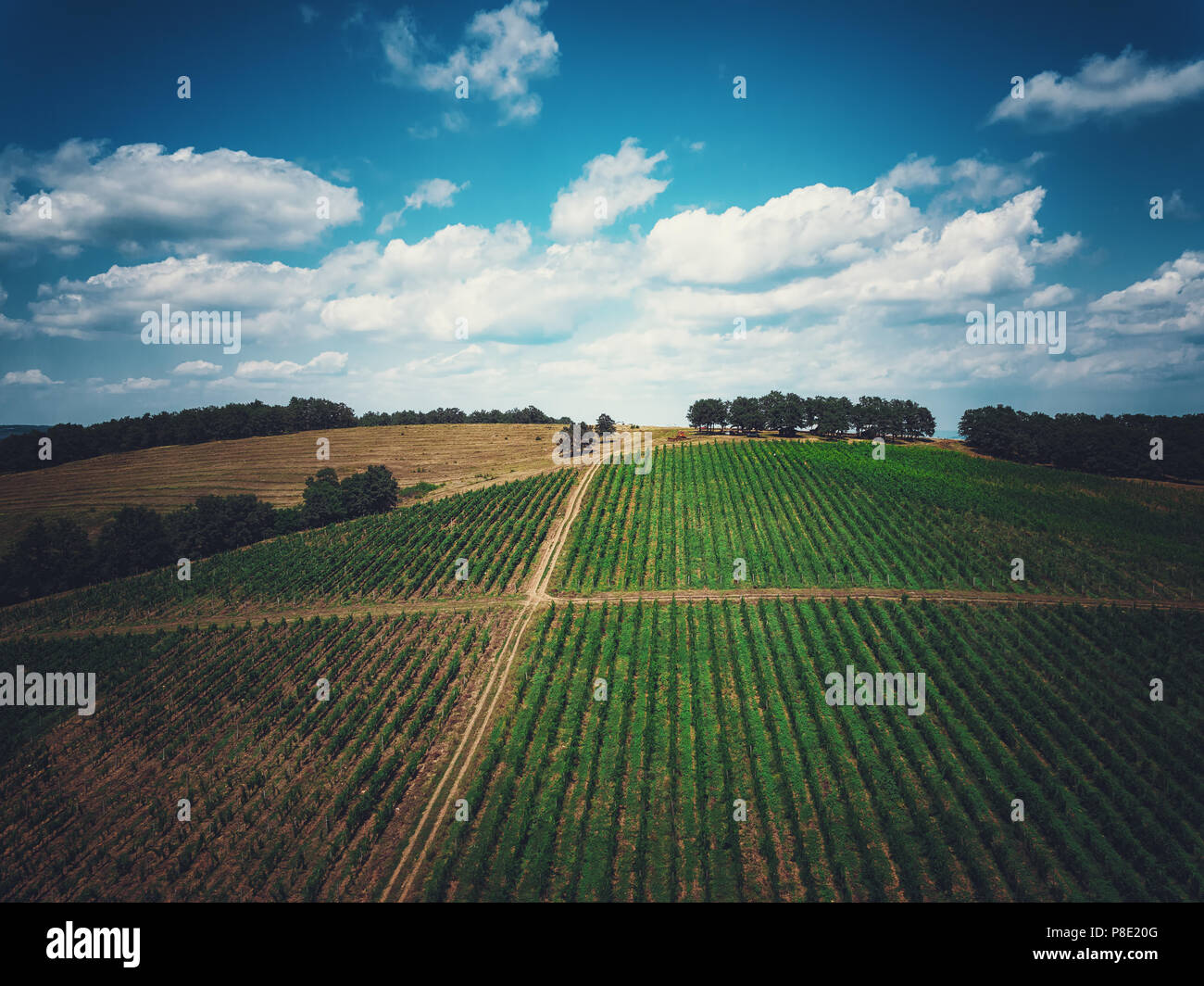 Summer winery view aerial hi-res stock photography and images - Alamy