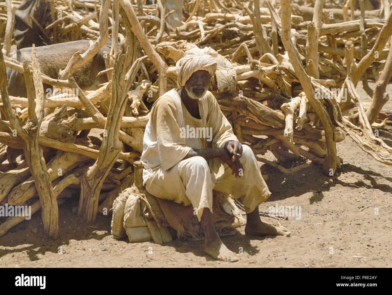 Northern Sudan, nomadic shepherd in the Bayuda desert Stock Photo - Alamy