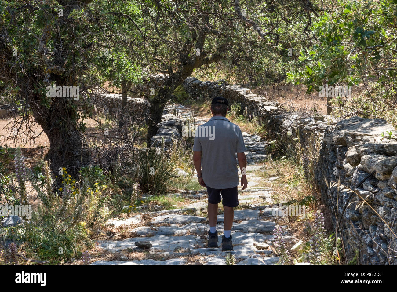 Well Marked Path High Resolution Stock Photography and Images - Alamy