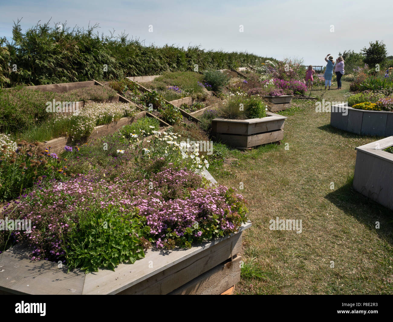 Horncliffe honey farm hi-res stock photography and images - Alamy