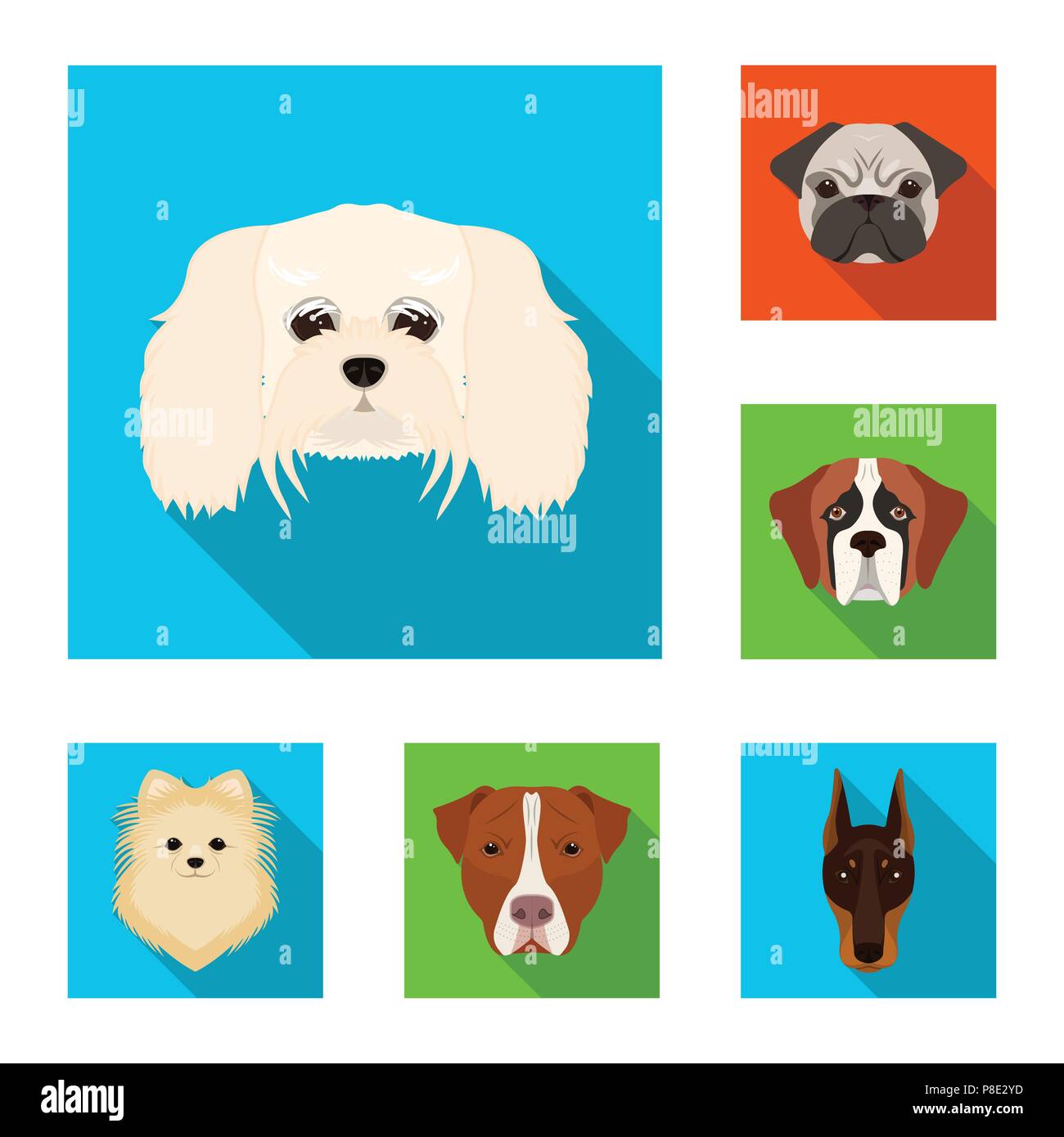 Dog breeds flat icons in set collection for design.Muzzle of a dog ...