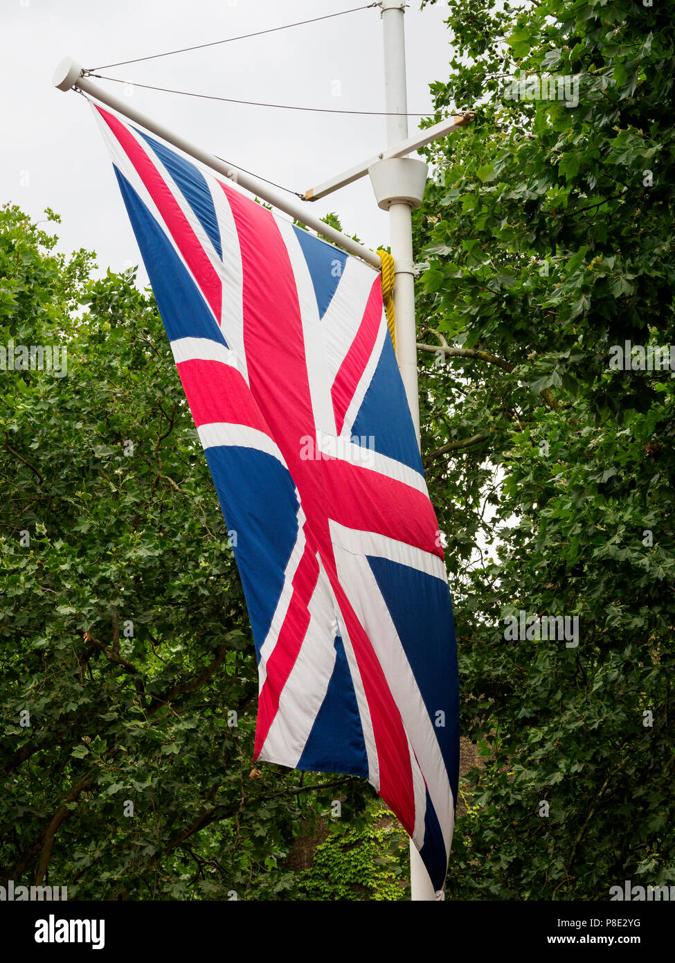 100 years raf hi-res stock photography and images - Alamy