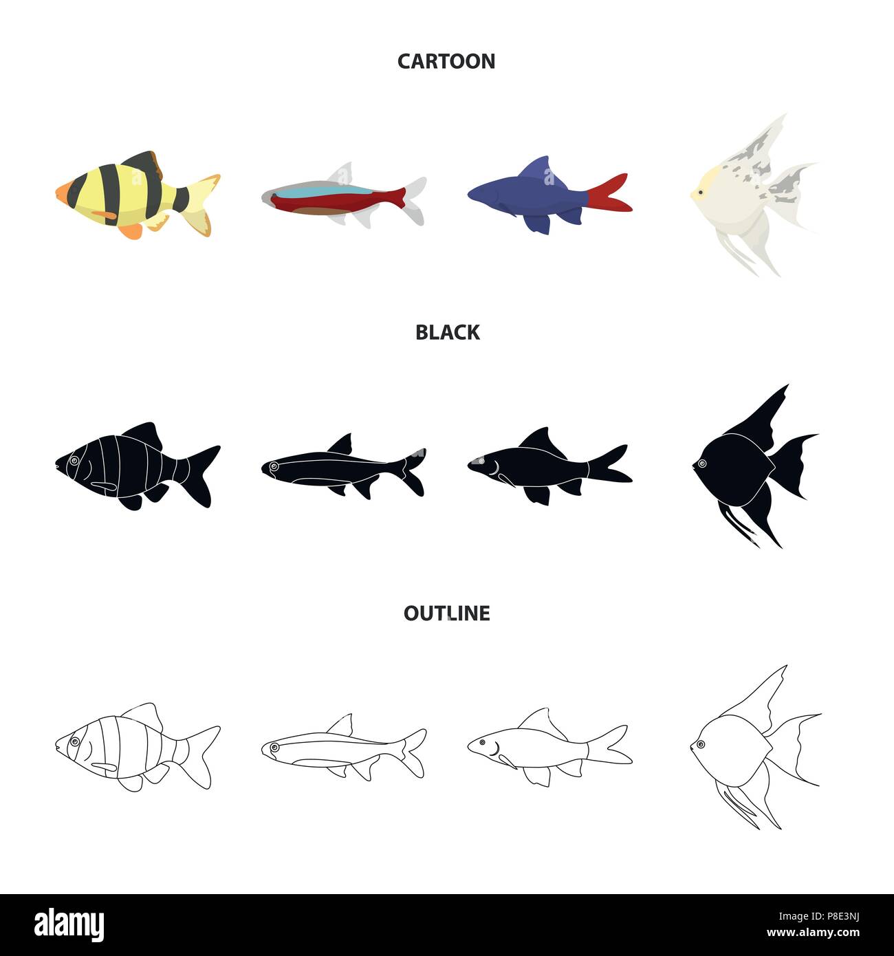 Red tail black shark hi-res stock photography and images - Alamy