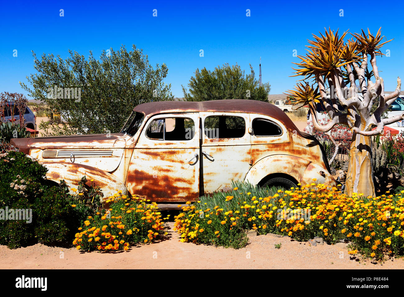 Classic Car Wreck in the Garden of the Canyon Roadhouse at Seeheim ...