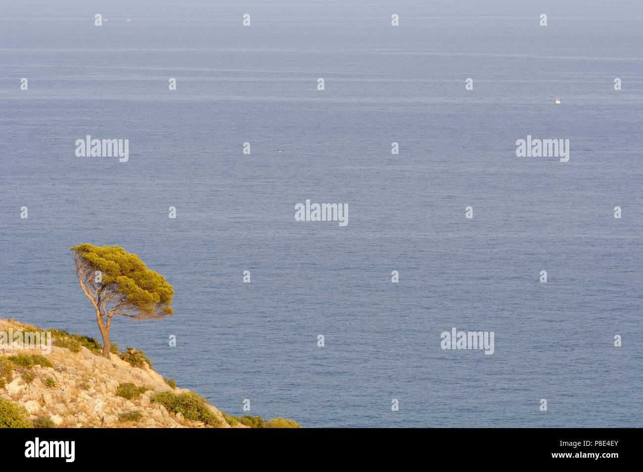 Mediterranean ecosystem hi-res stock photography and images - Alamy