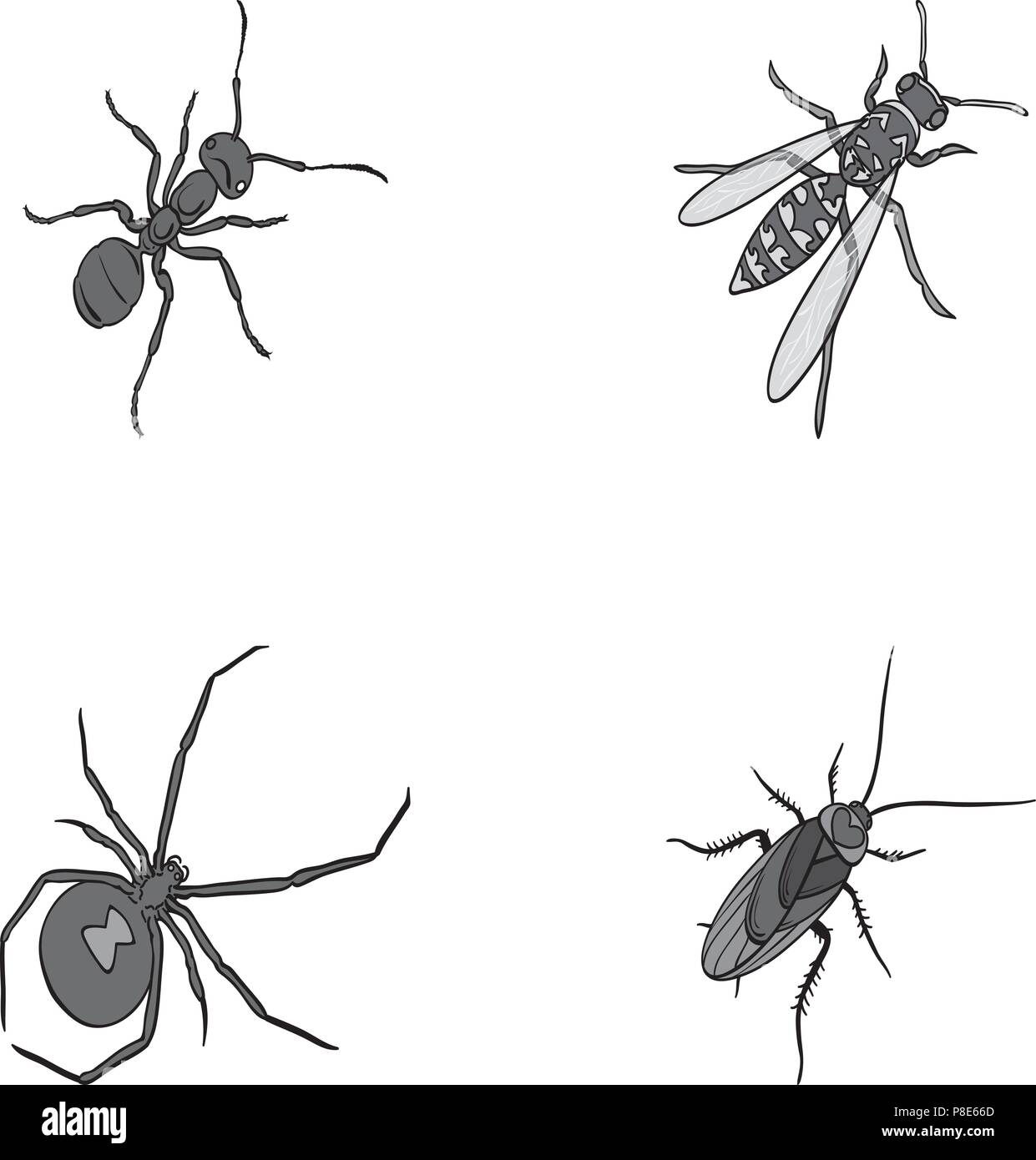 animal,ant,arthropod,beetle,cockroach,collection,hymenoptera,icon ...