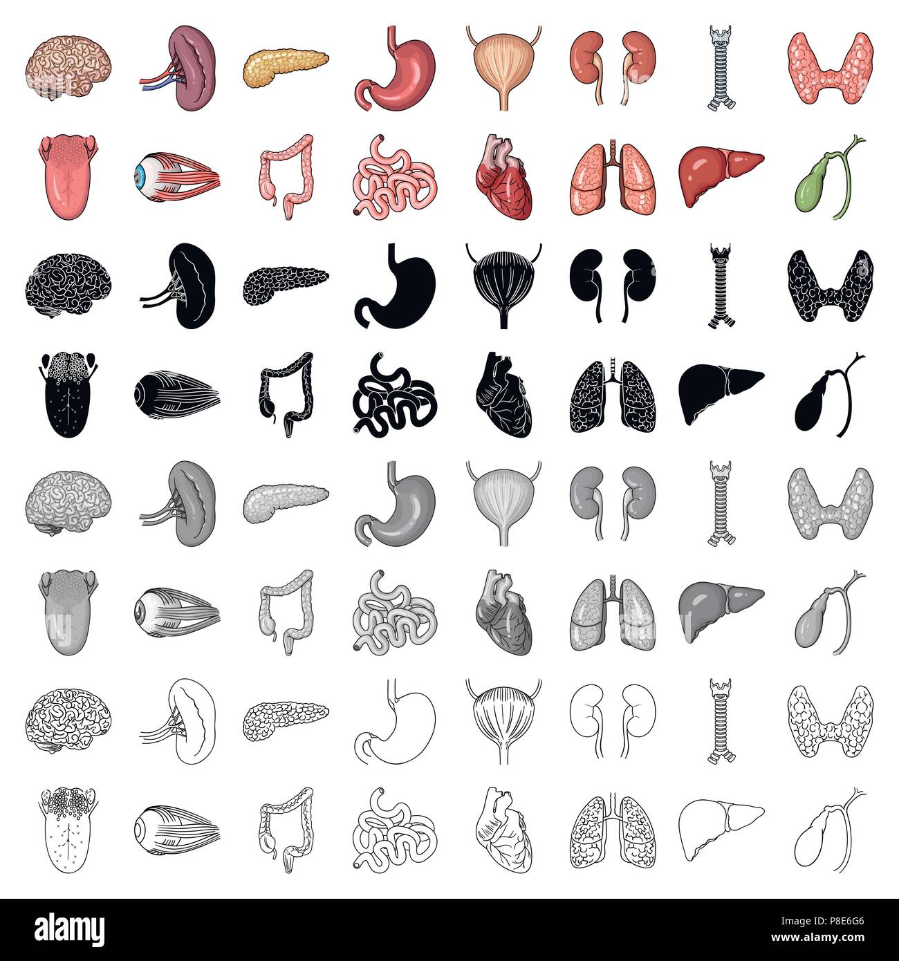 art,bladder,brain,cartoon,collection,design,eyeball,gallbladder,gray ...